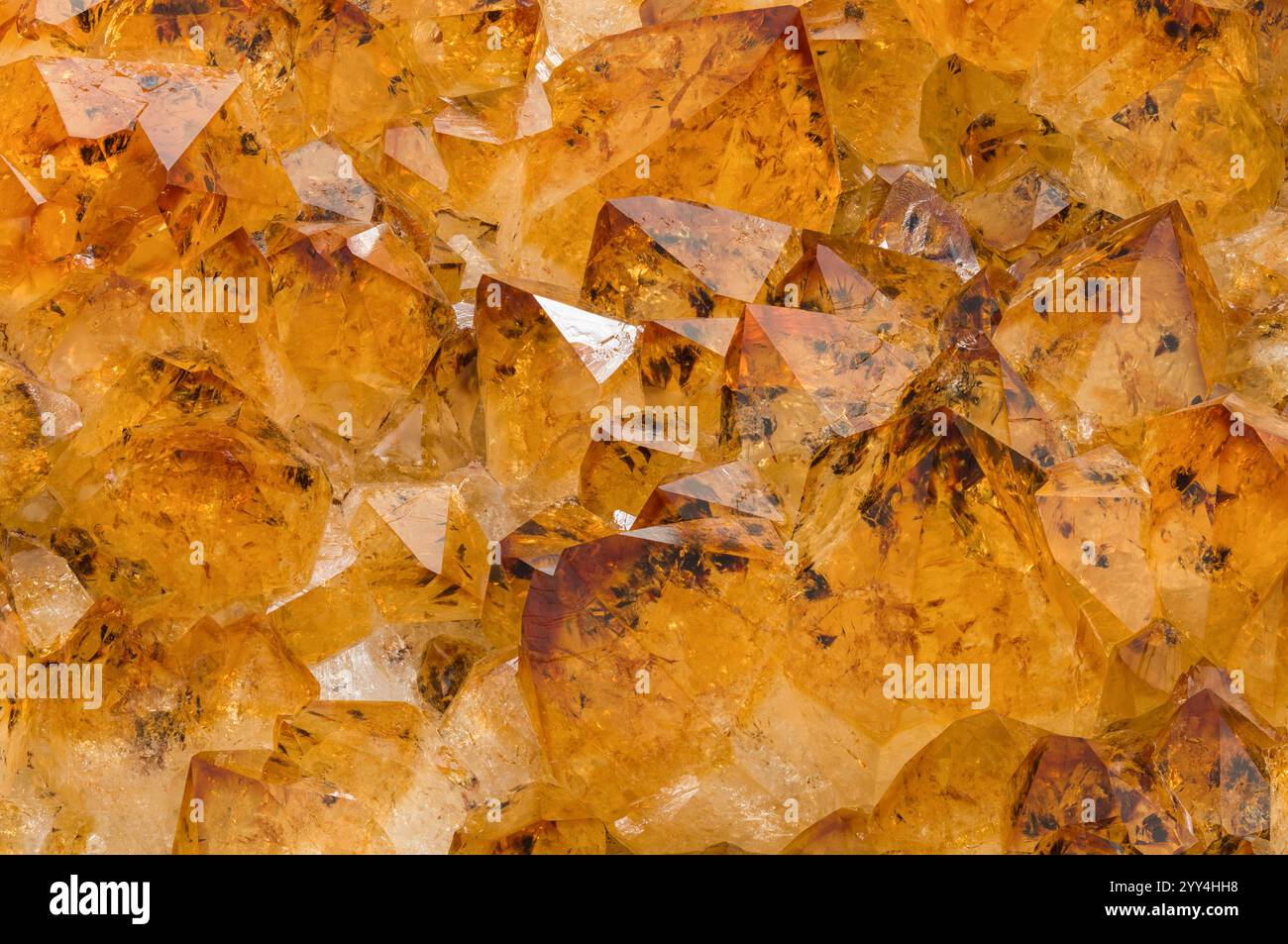 Close-up macro photograph capturing the intricate, crystalline ...