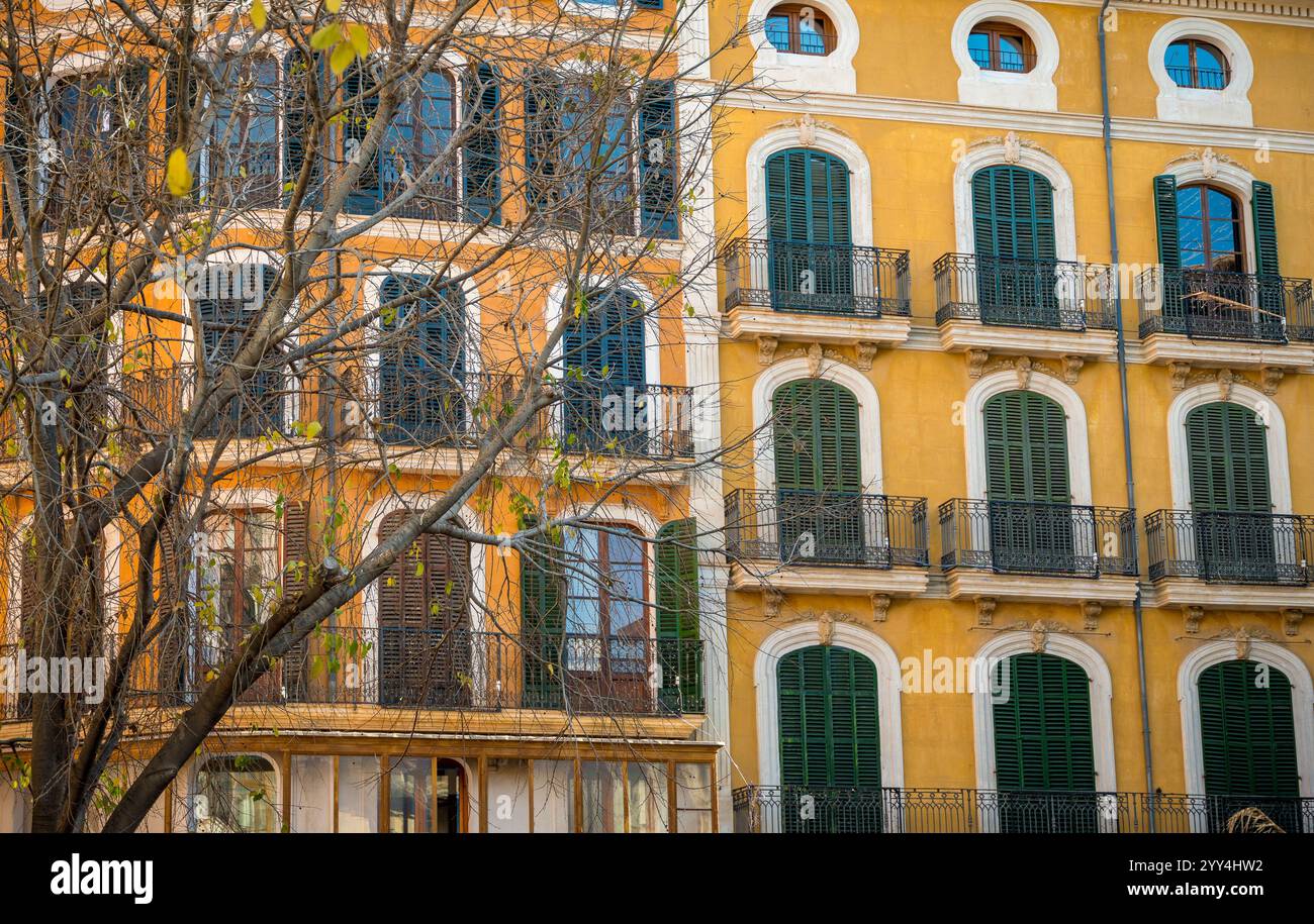 Vibrant yellow and green historical buildings line the streets of Palma ...