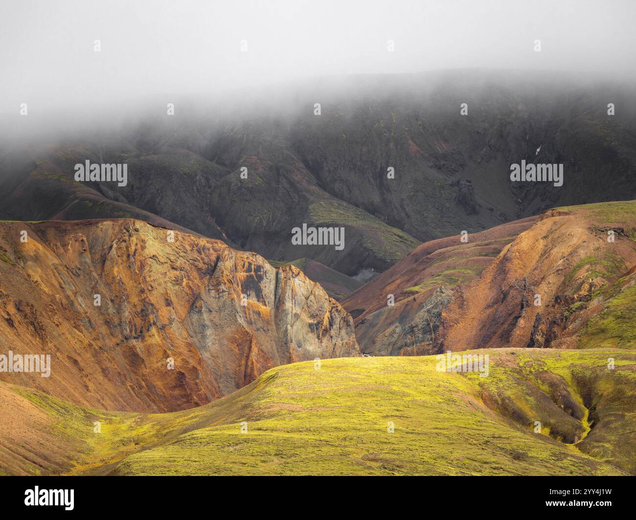 Captivating Icelandic landscape featuring rolling green hills and mist ...