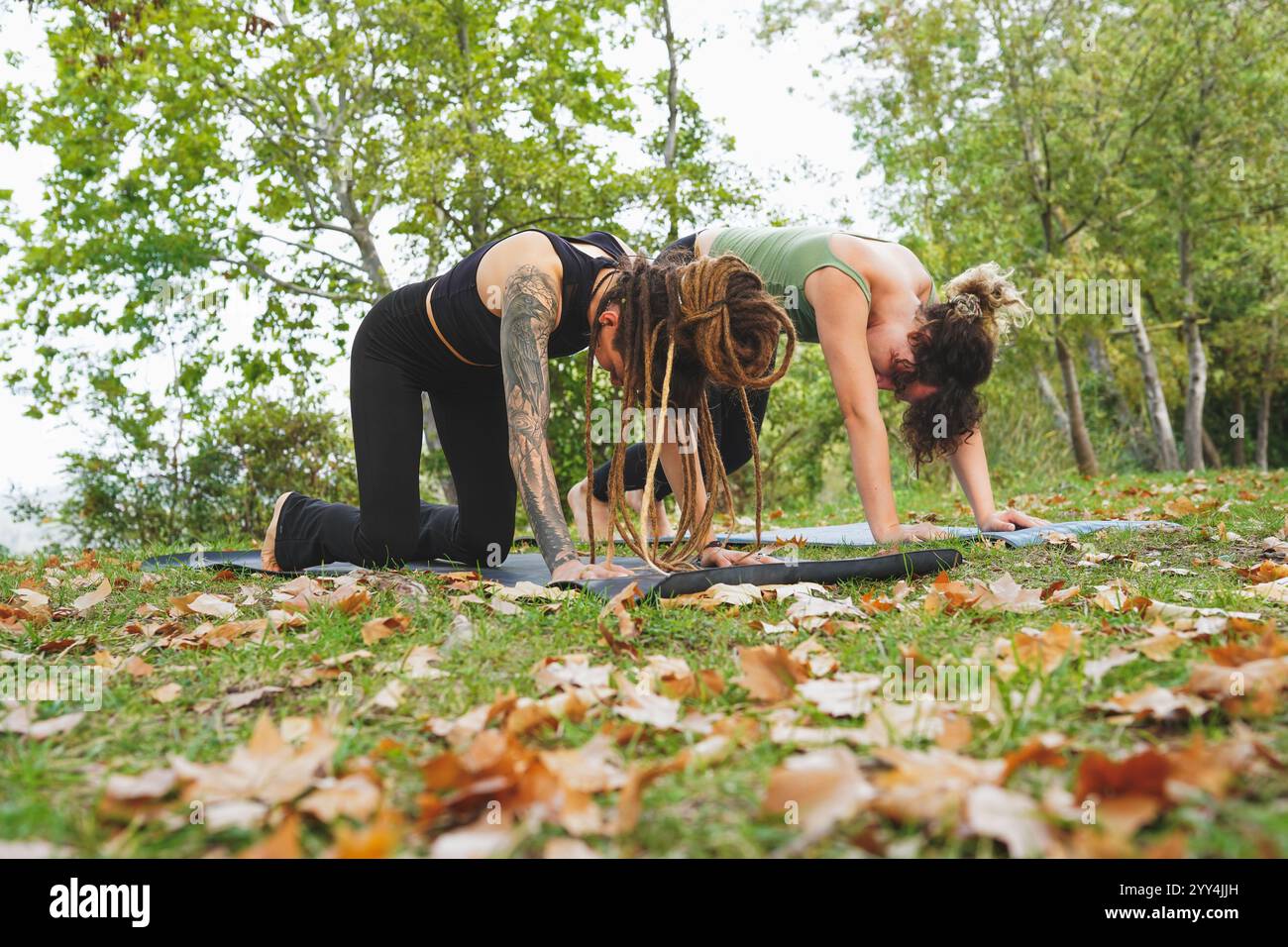 Transgender couple enjoying yoga in a serene autumn setting. The ...