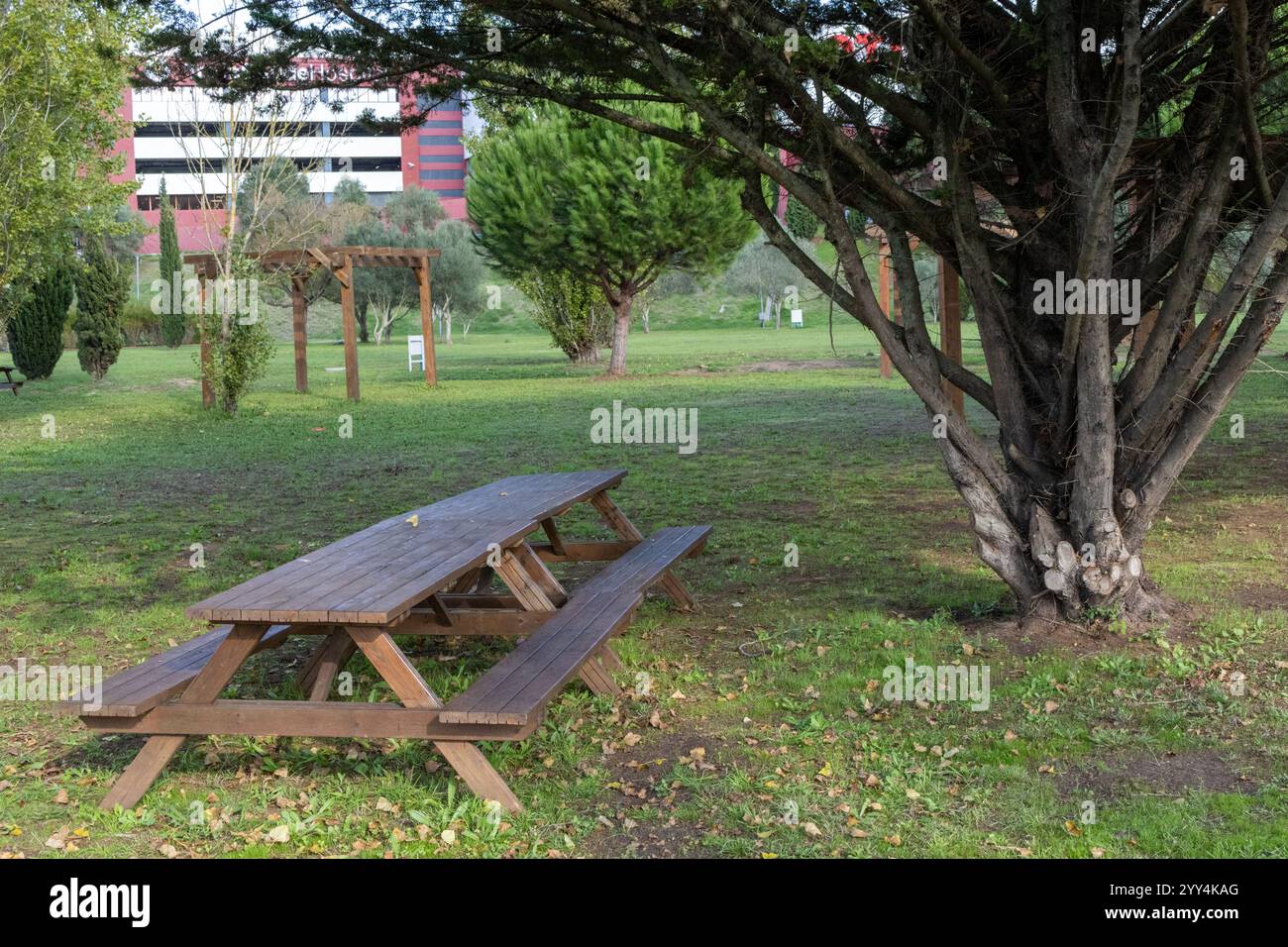 Wooden picnic table under a tree in loureshopping green park, loures ...
