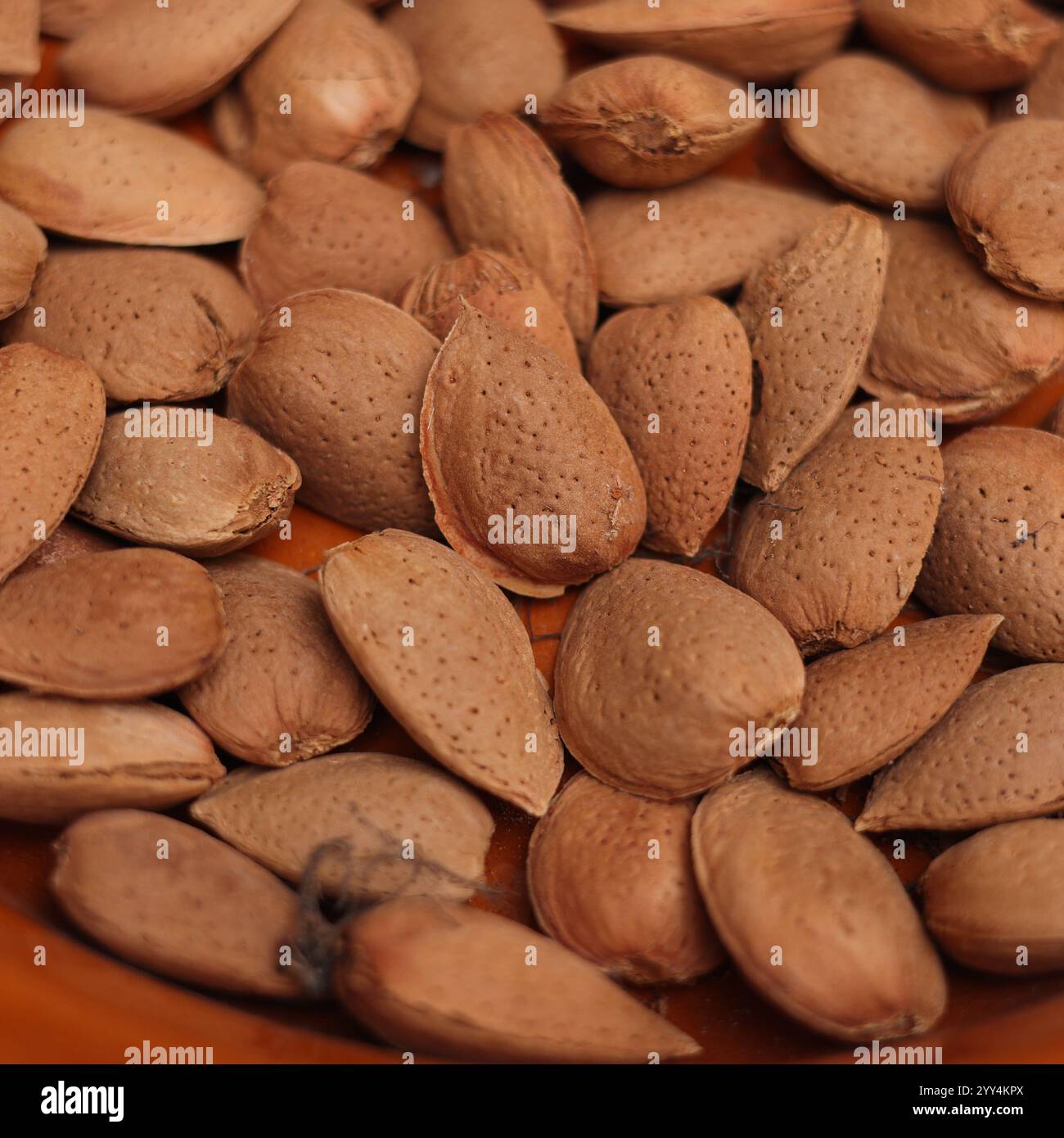 Images of almonds in their shell hi-res stock photography and images ...
