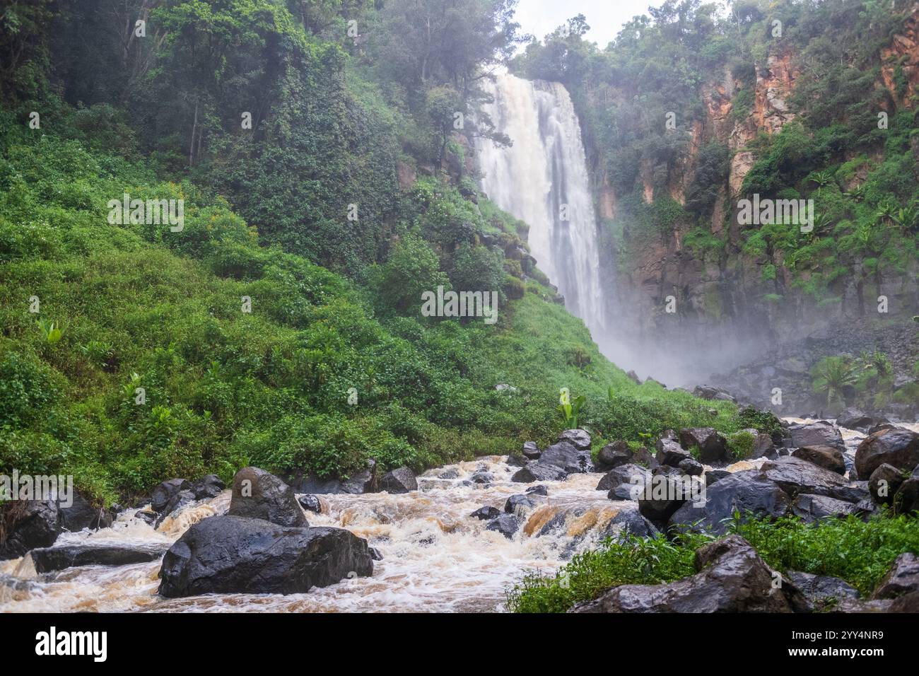 Thompson Falls in Kenya is a magnificent waterfall plunging down a ...