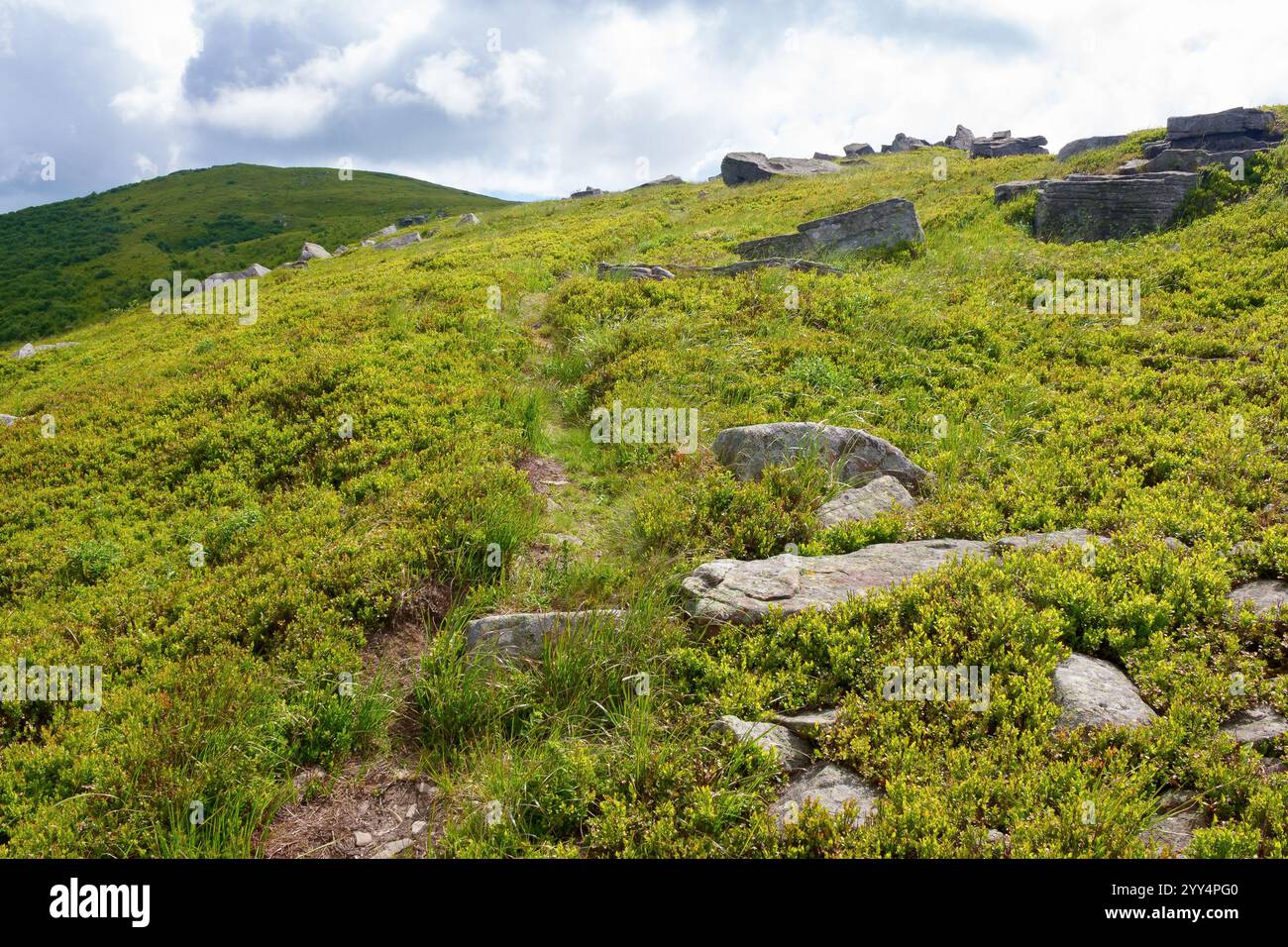 path winding uphill. scenic landscape. alpine scenery with grassy ...