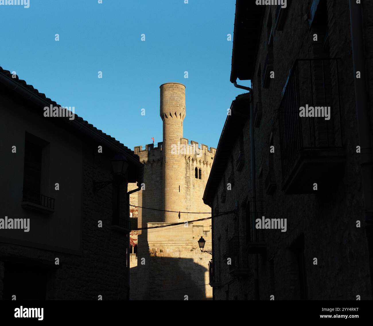 Olite is wine capital ofNavarra, just south of Pamplona the castle was ...