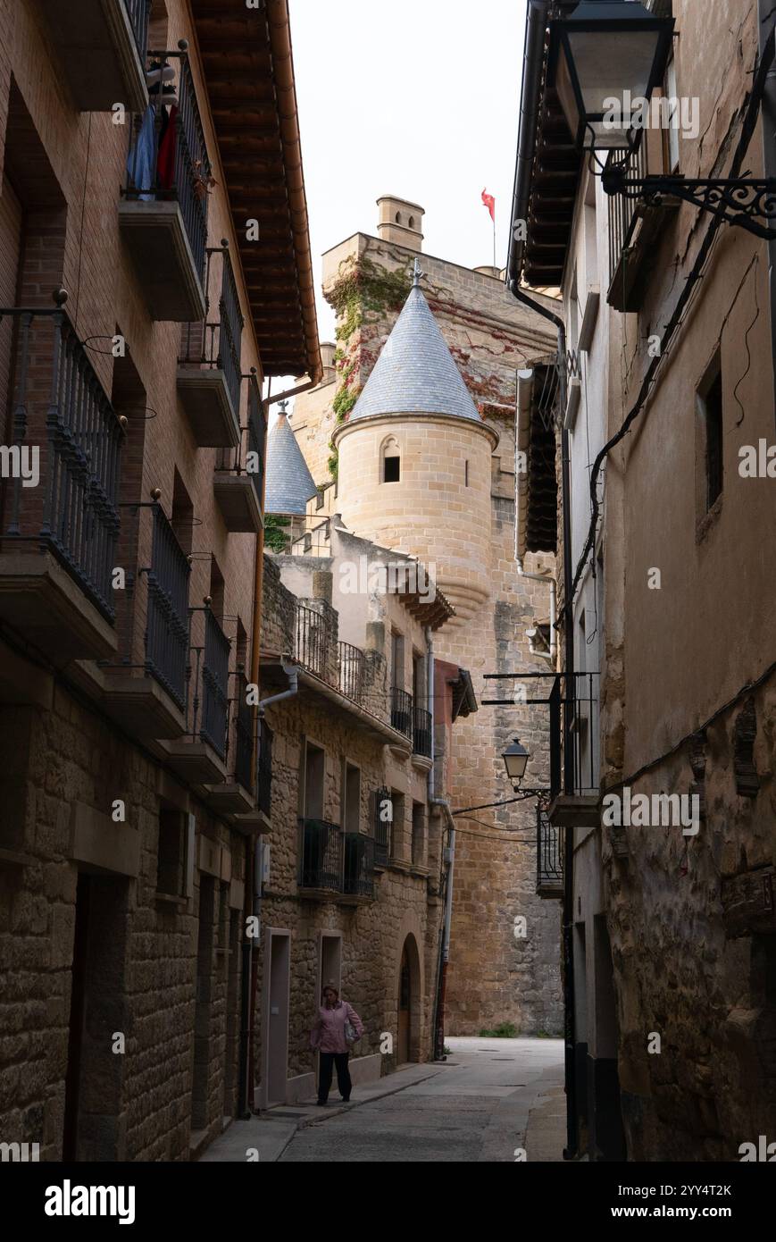 Olite is wine capital ofNavarra, just south of Pamplona the castle was ...