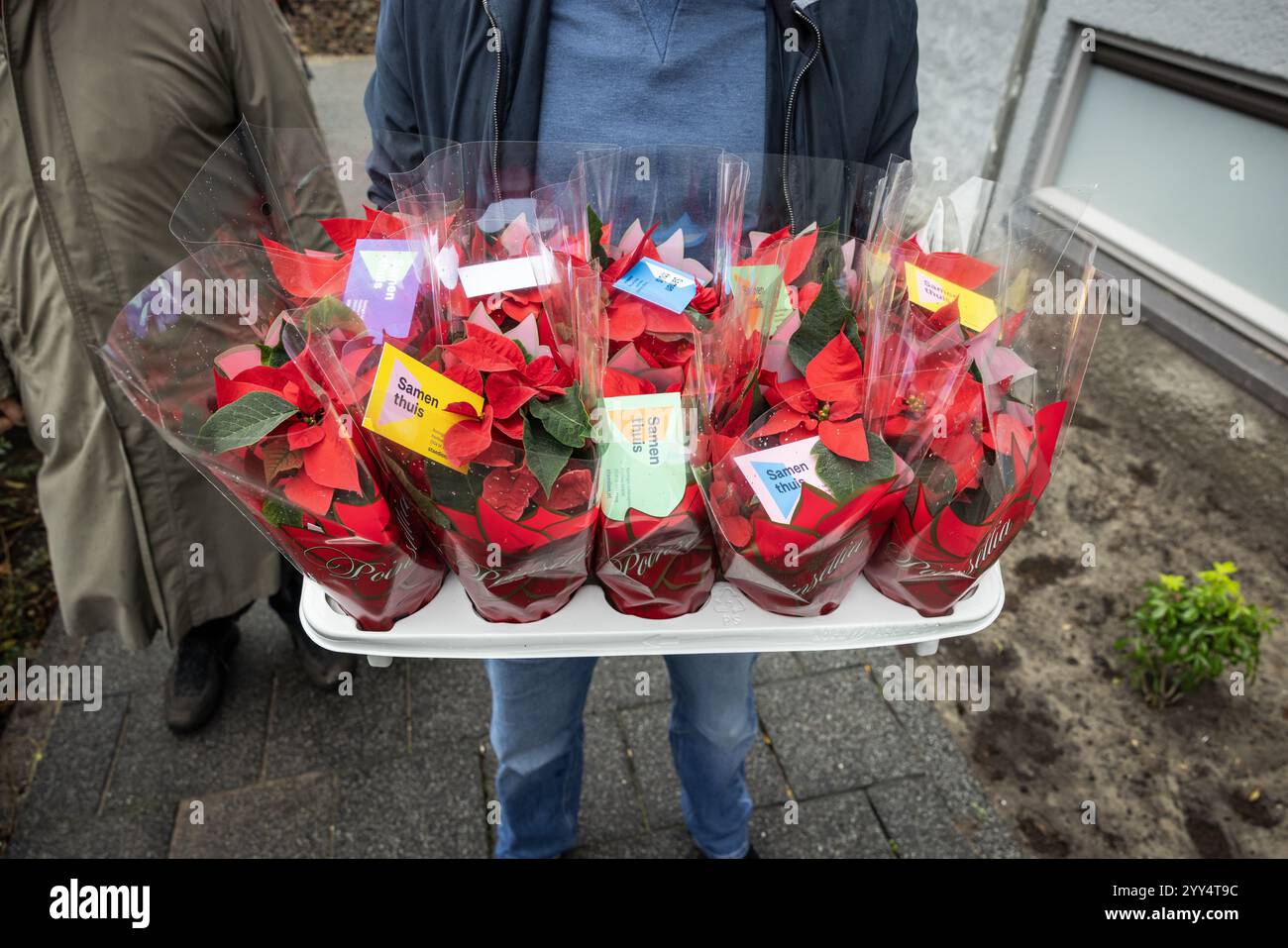 DEN HAAG - Housing corporation staedion brings flowers for local ...