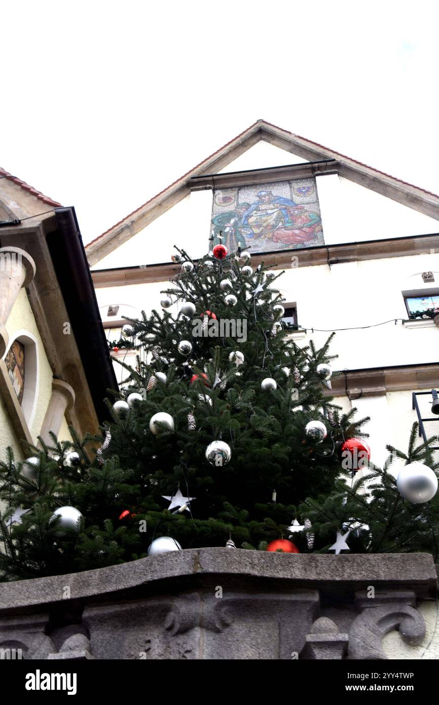 Christbaum -Altes Rathaus Weiden Opf 18.12.2024 Rathausplatz Weidener ...
