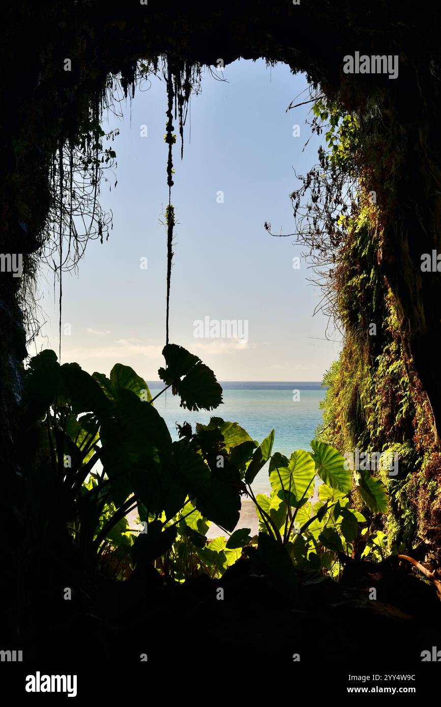 Secret tunnel opening, overflowing with tropical plants and vines, that ...