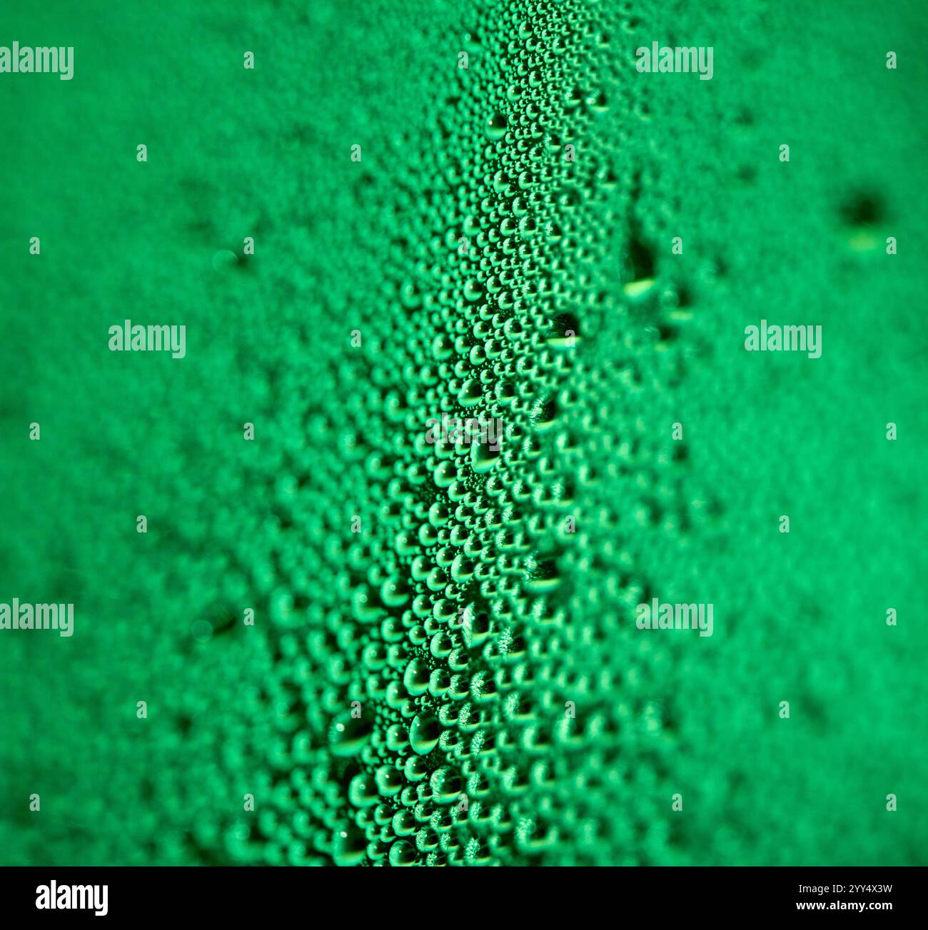 Close Up of Condensation Floating Liquid Water Bubbles and Drips on ...