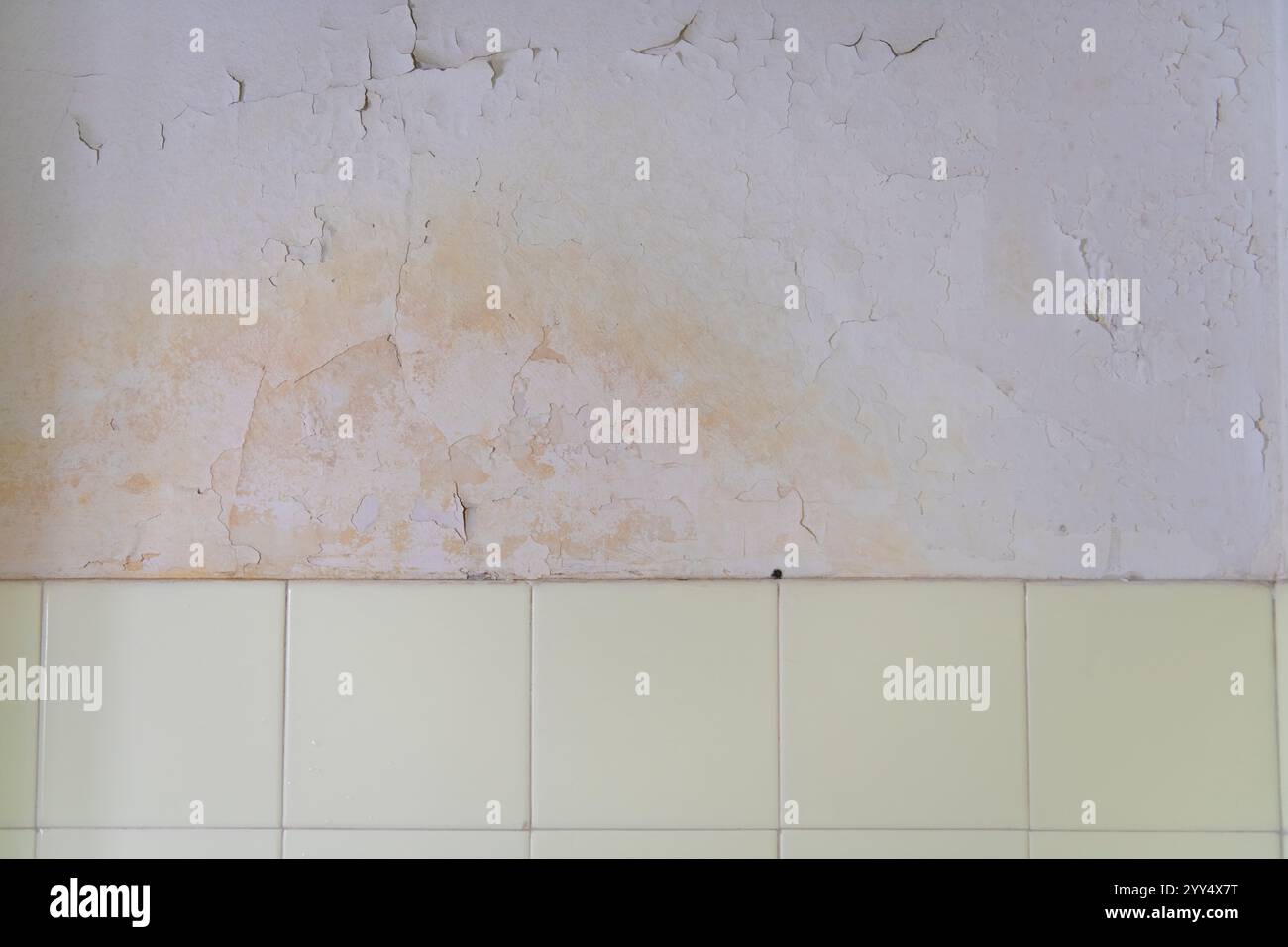 Mold and cracks on a bathroom wall in a house. Old wall is covered with ...