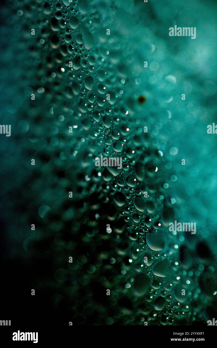 Close Up of Condensation Floating Liquid Water Bubbles and Drips on ...