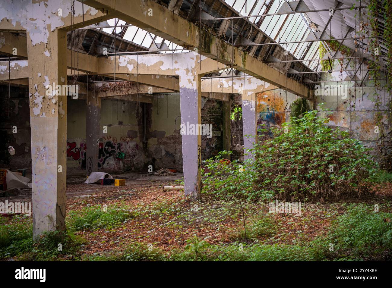 Abandoned industrial building interior. Apocalyptic scene. Ruins of large factory hangar or room ...