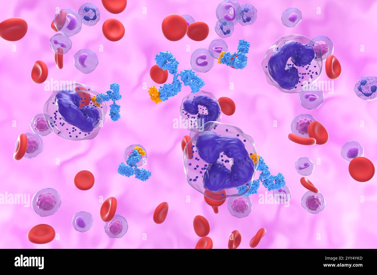 Monoclonal antibody therapy in Chronic Myelogenous Leukemia (CML ...