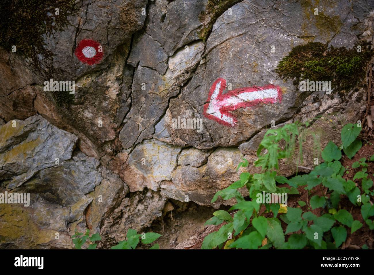 Hiking trail road with red and white arrow and circular mark on a ...
