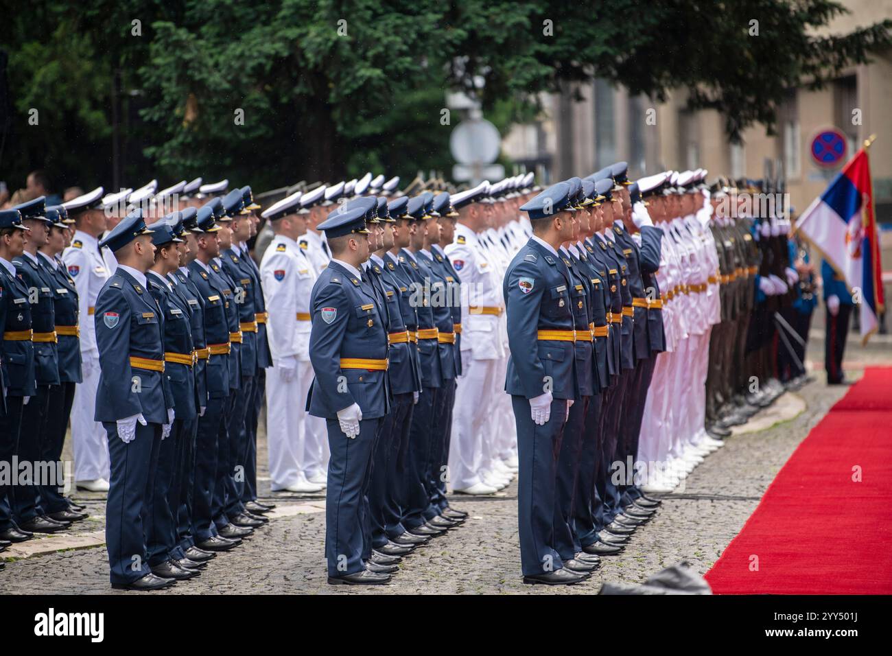 Serbian guard soildiers lined for ceremony. Members of the guard of ...