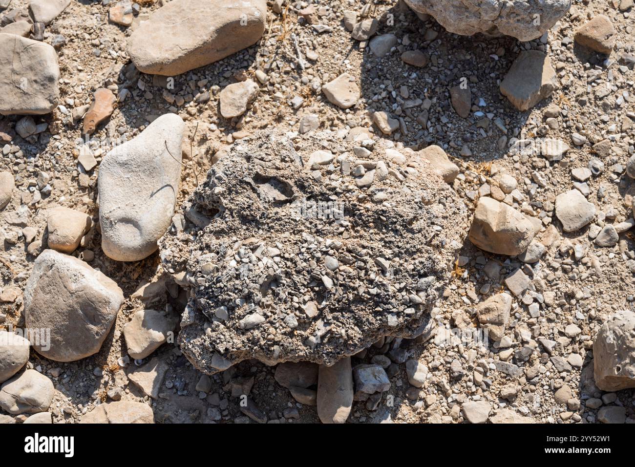 Sedimentary marl rock from the shore of the Dead Sea Israel Stock Photo ...