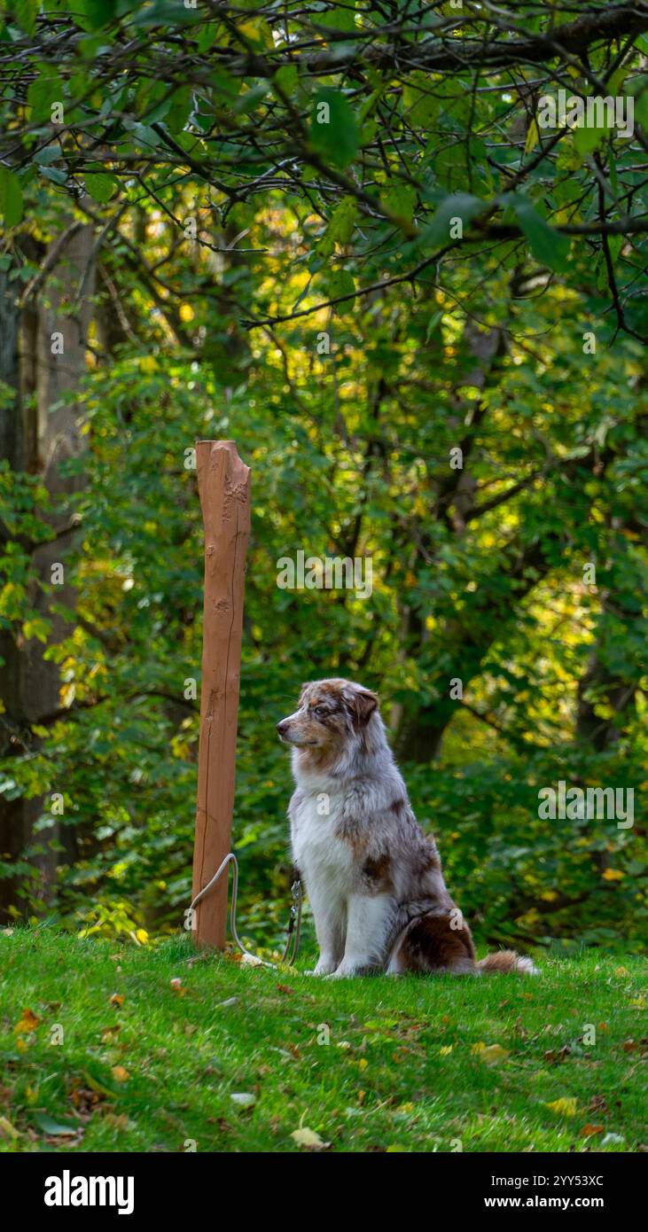 Sitting posture street hi-res stock photography and images - Alamy