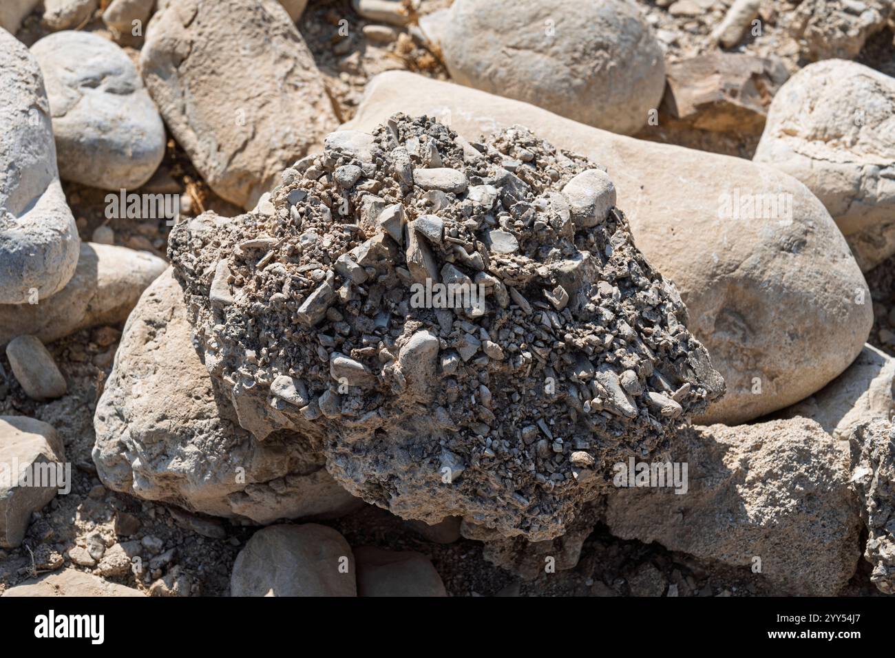 Sedimentary marl rock from the shore of the Dead Sea Israel Stock Photo ...