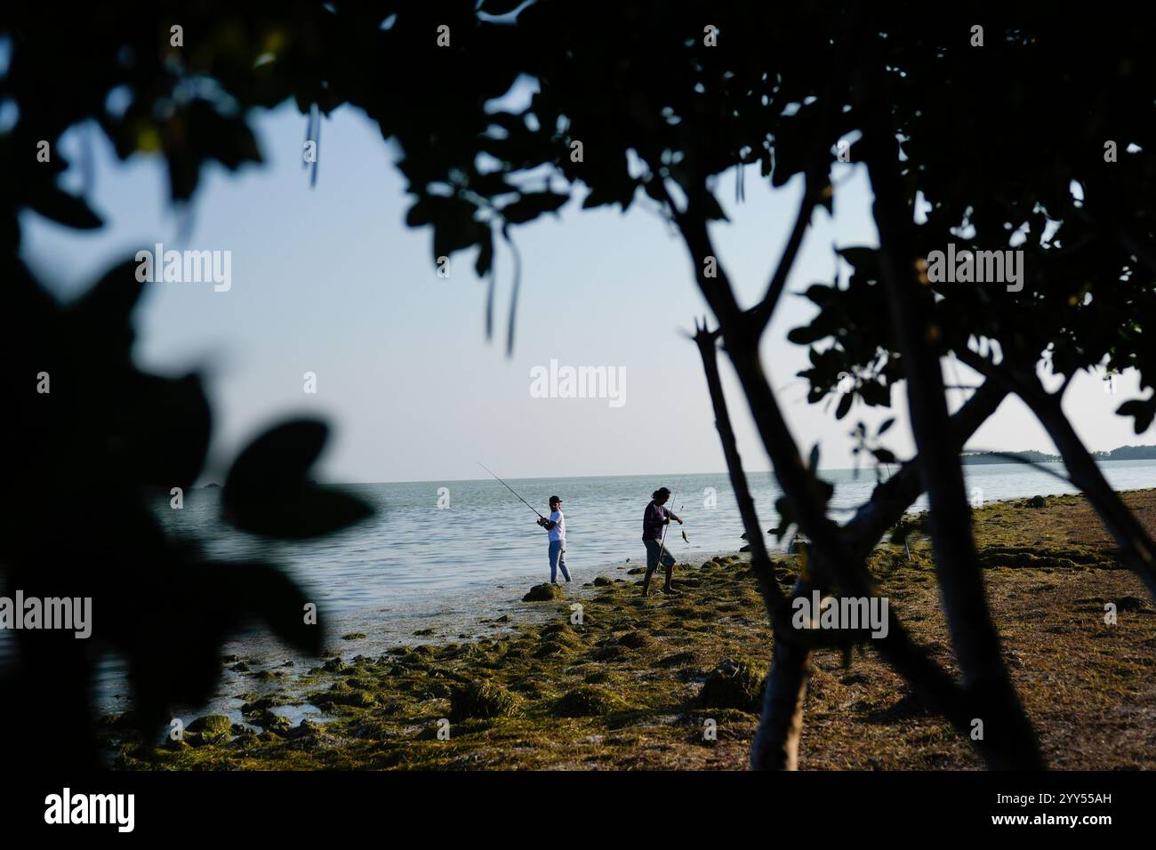 Men fish in Florida Bay from the shoreline of Florida's Everglades ...