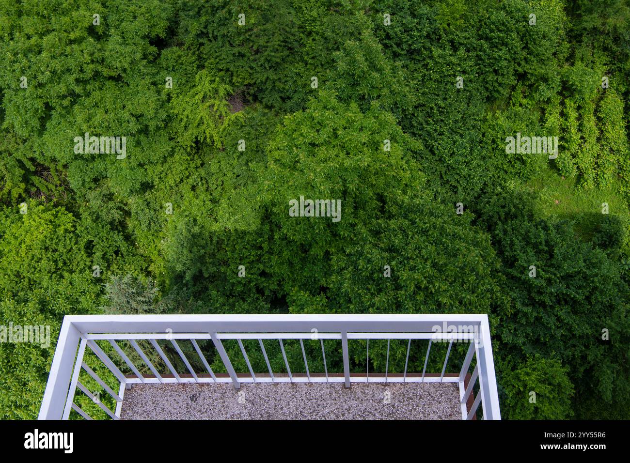 Residential building balcony or terrace view of green forest thick tree ...