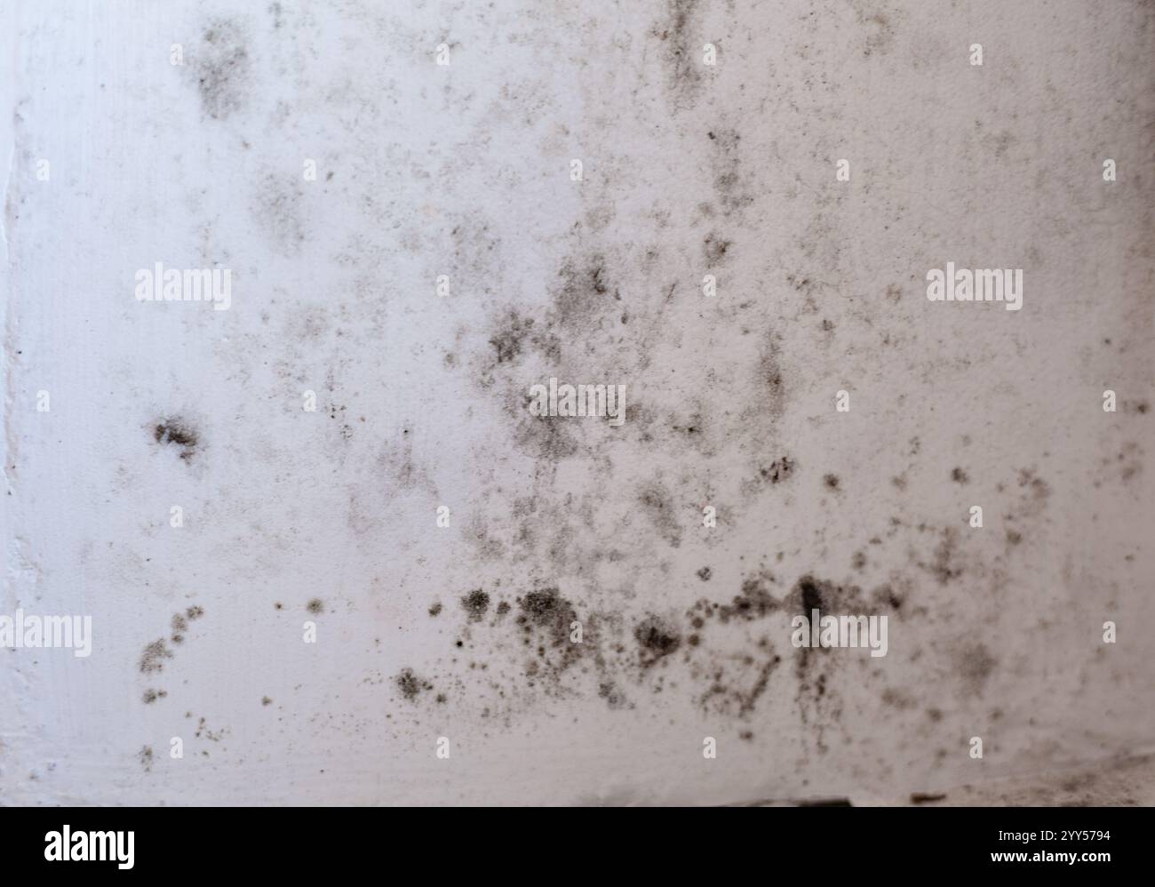 Real texture of black toxic mold on white window slope and sill Stock ...