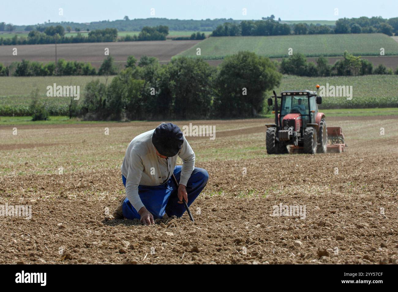 Aulnay (central-western France), August 27, 2007: old man in a field ...