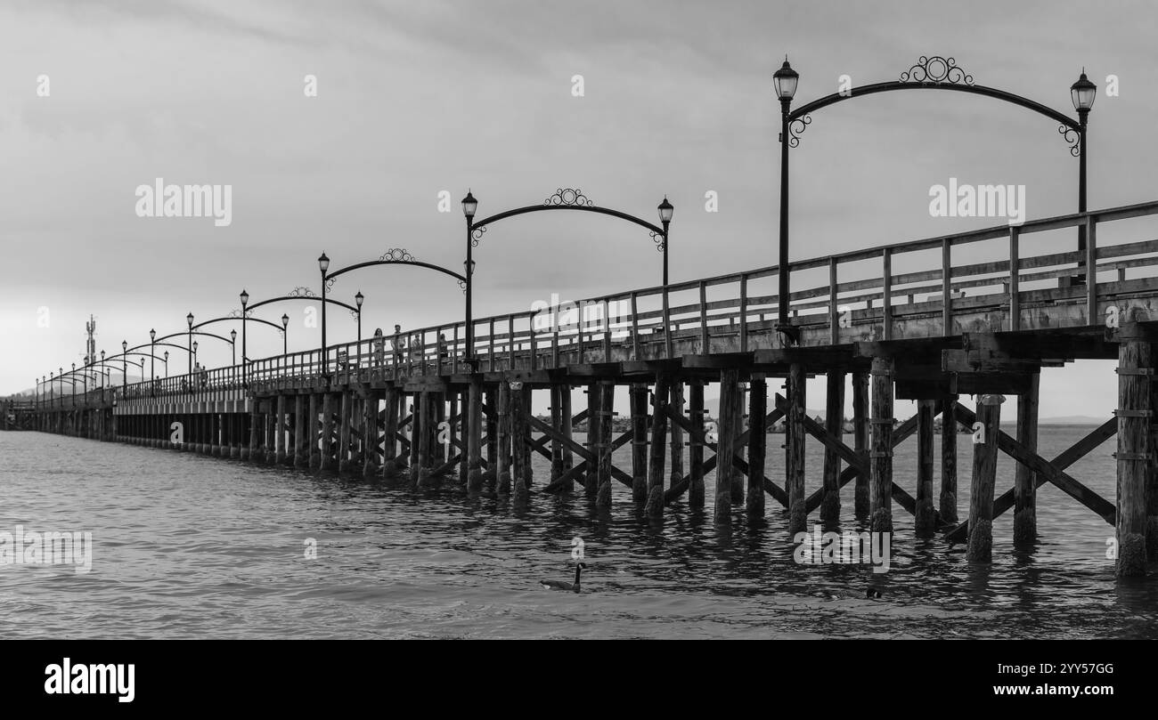White Rock Historic Pier in South Surrey British Columbia Canada. Black ...