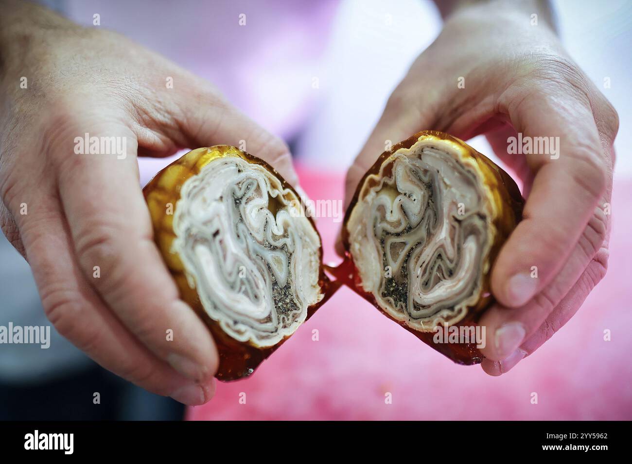 Sentinelles du gout de la nouvelle aquitaine hi-res stock photography ...