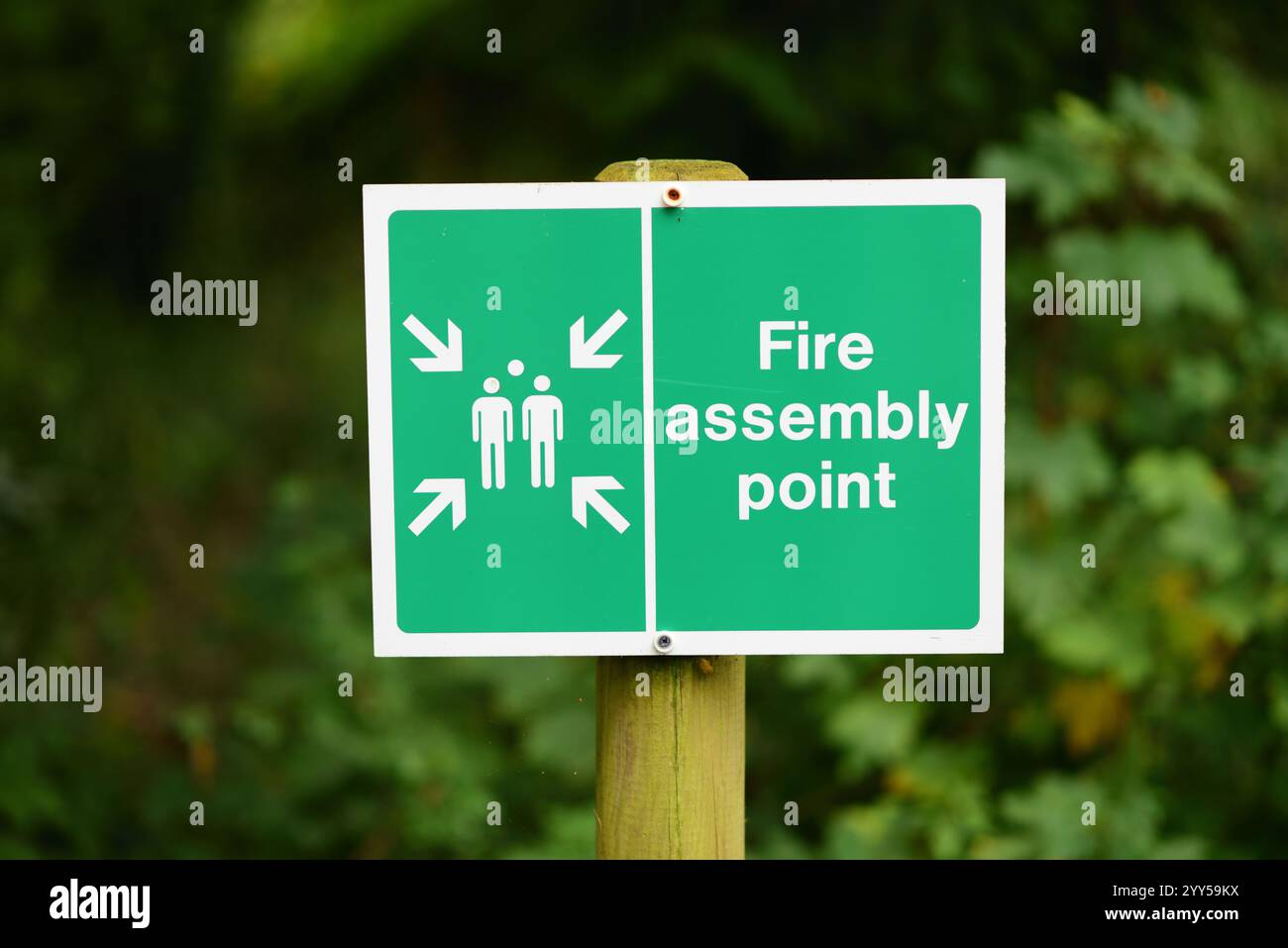A fire assembly point sign Stock Photo - Alamy