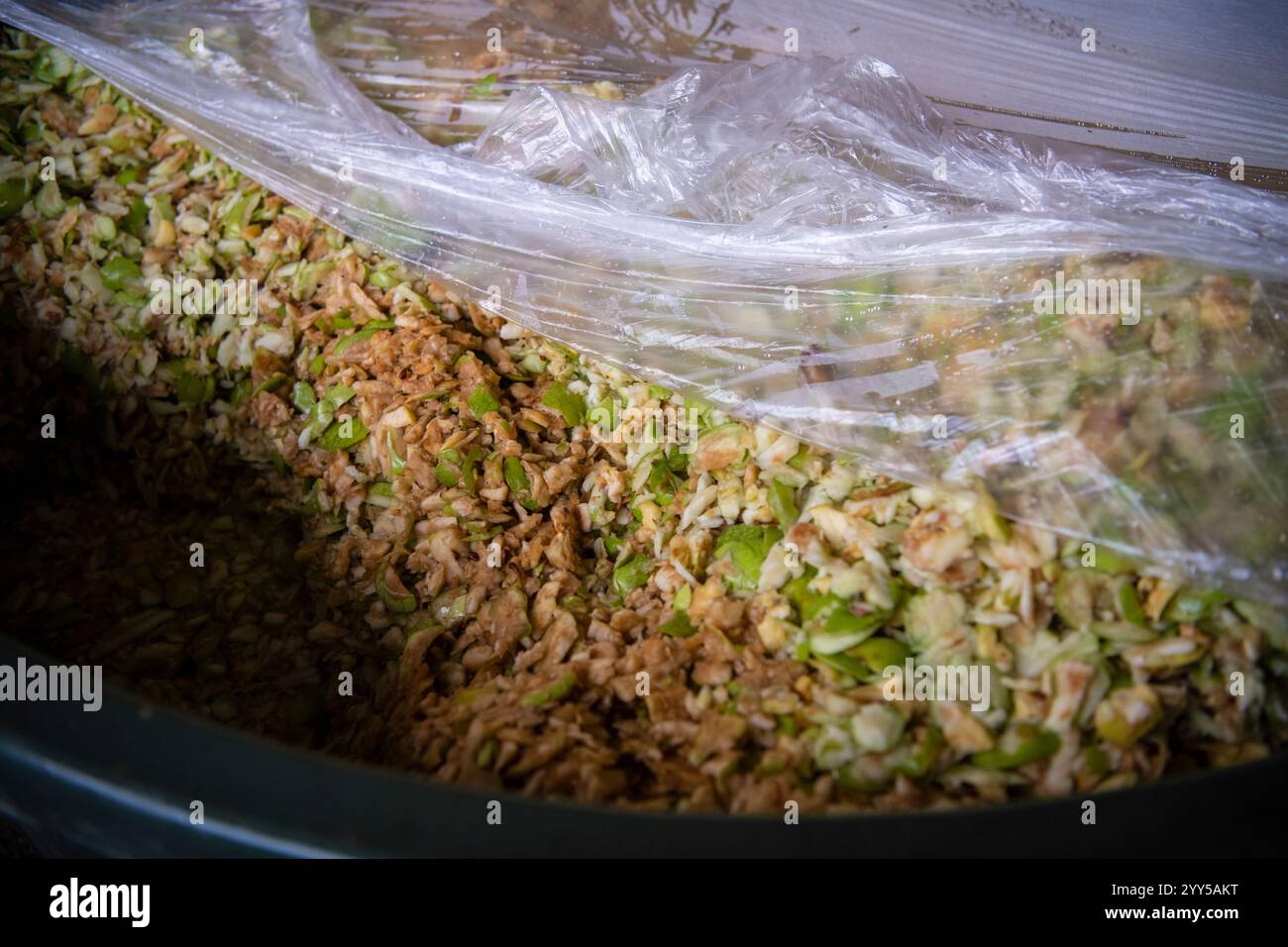 Closeup of cauldron or barrel full of mashed,chopped apple fruit,in ...