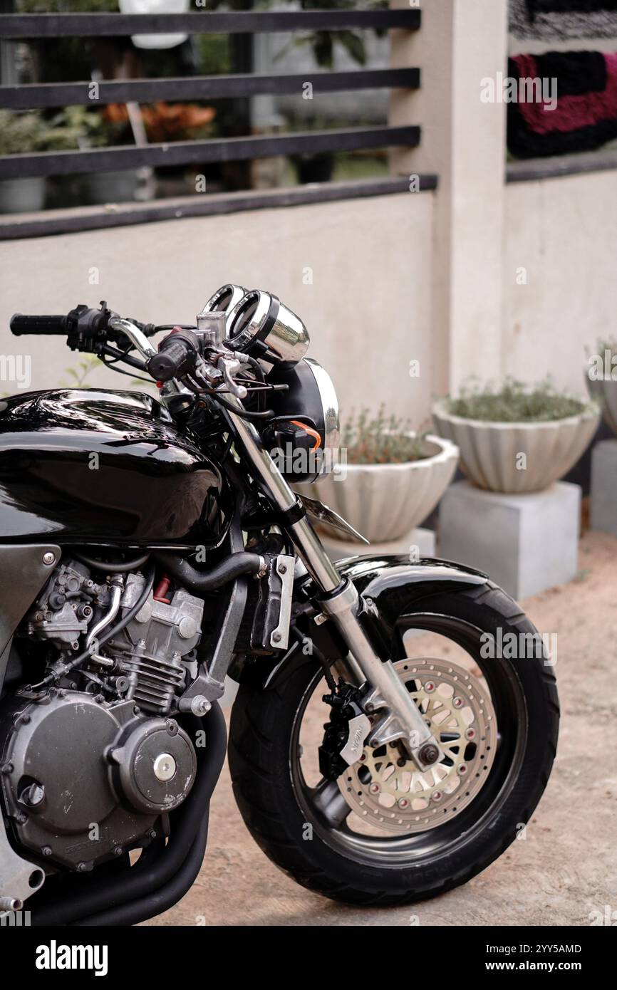 Honda Hornet Stunt Bike