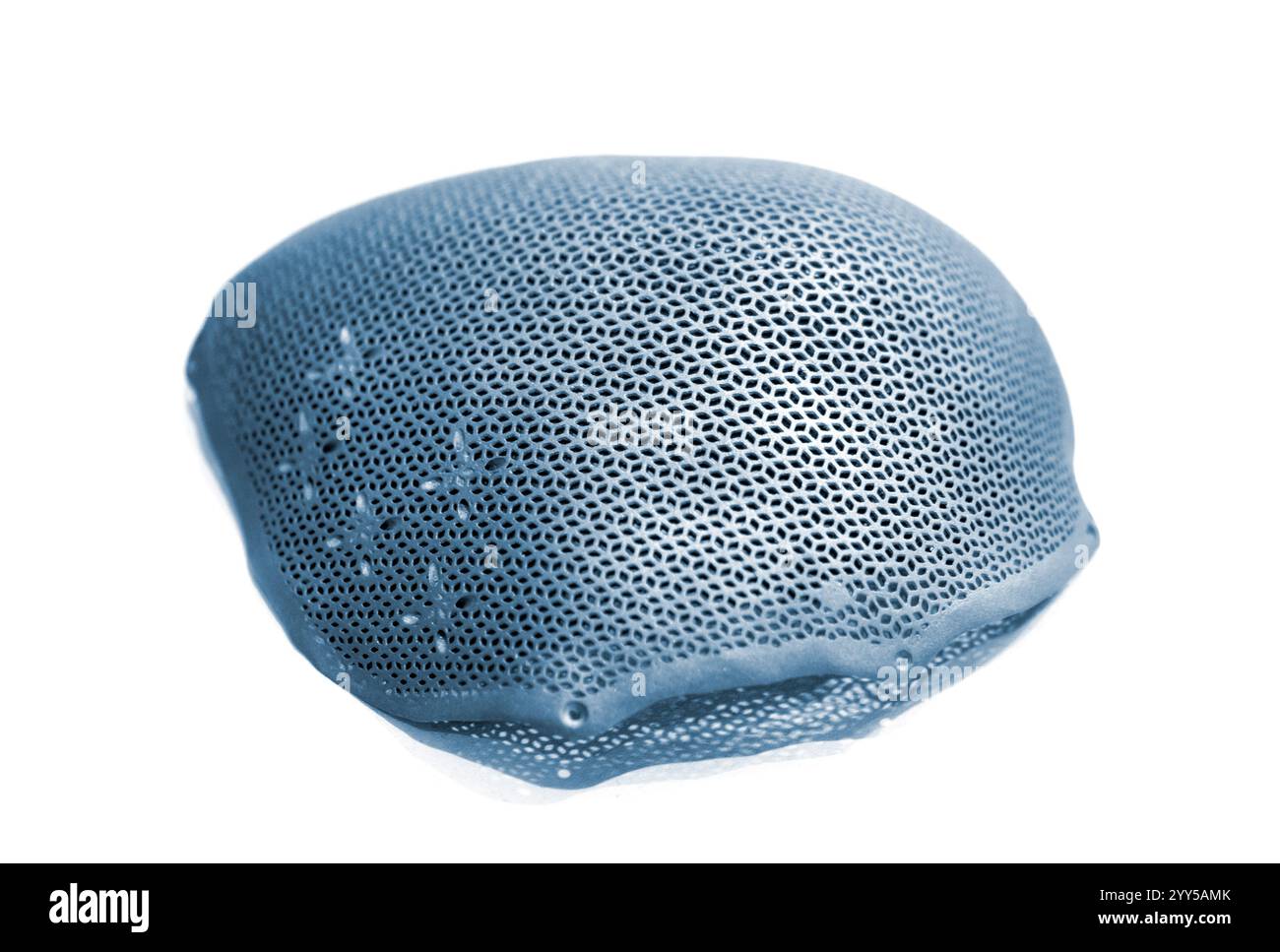 Cranioplates hi-res stock photography and images - Alamy