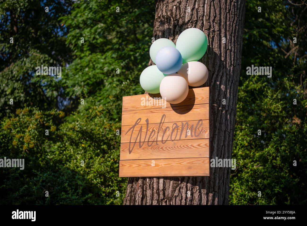 Welcome wooden decoration table with colorful balloons, hanging on a ...