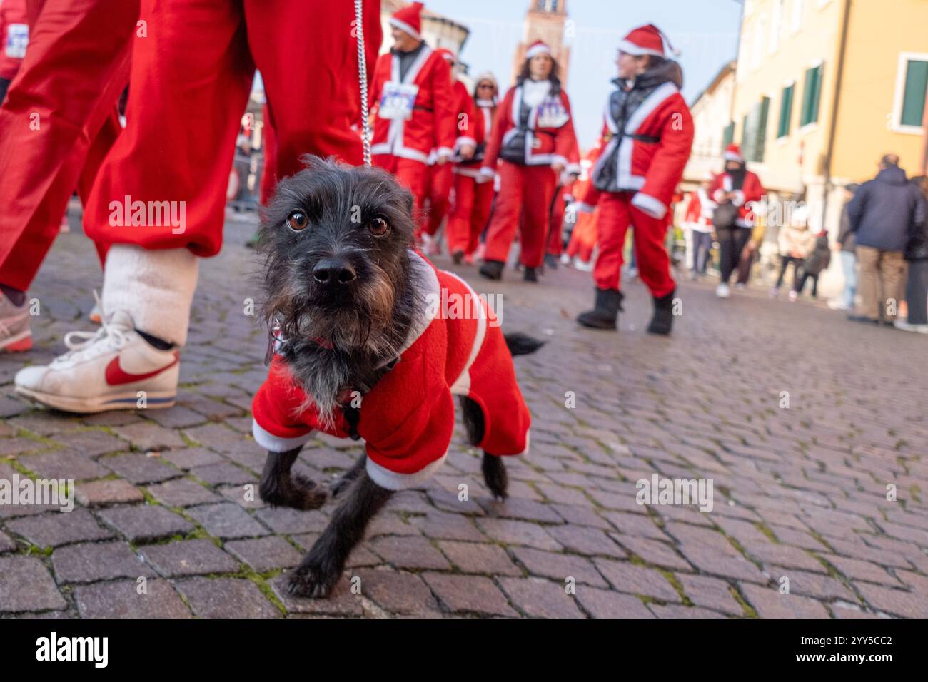 Runners pass by the ‘Rocca dei Tempesta’ during the traditional Santa ...