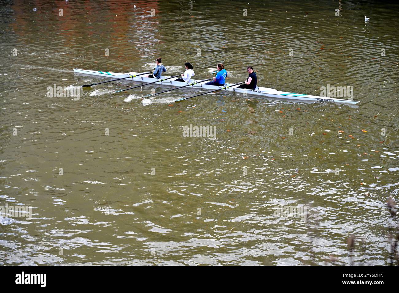 Four woman rowing scull in Bristol floating harbour Stock Photo - Alamy