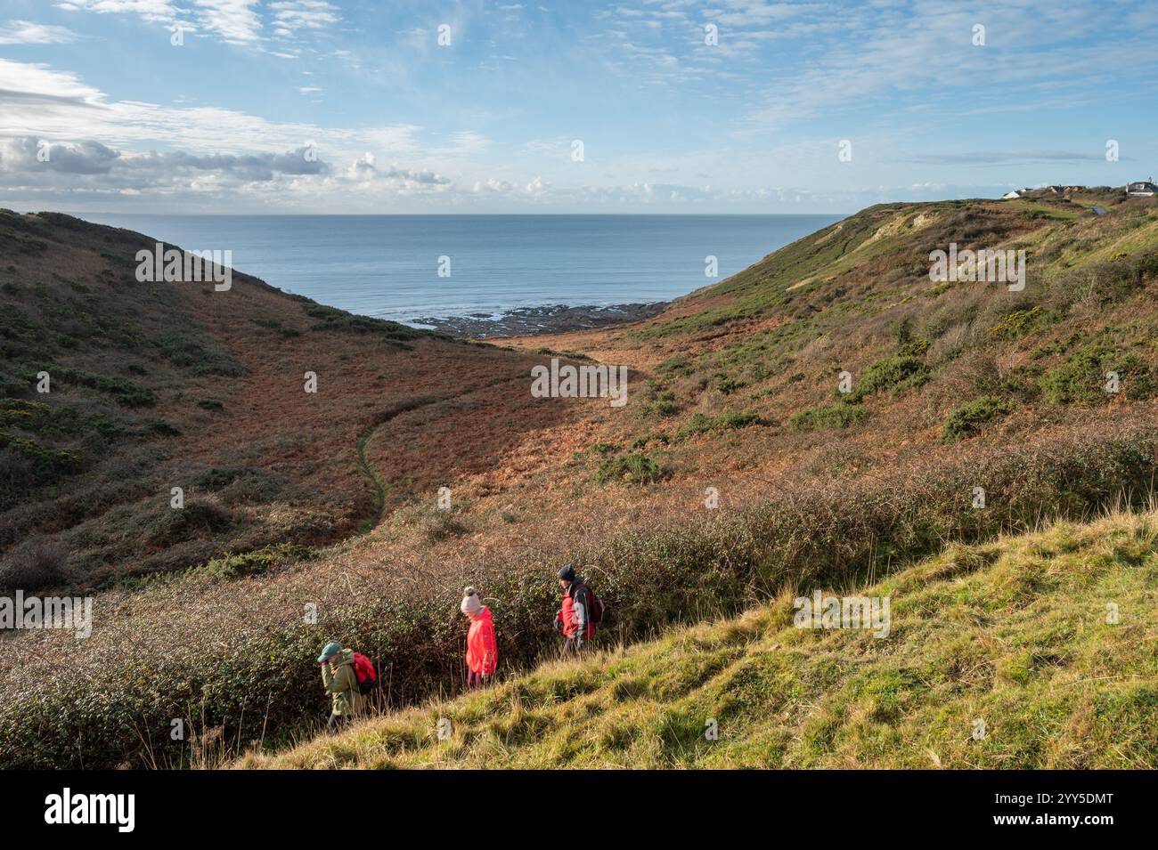 Slade group hi-res stock photography and images - Alamy