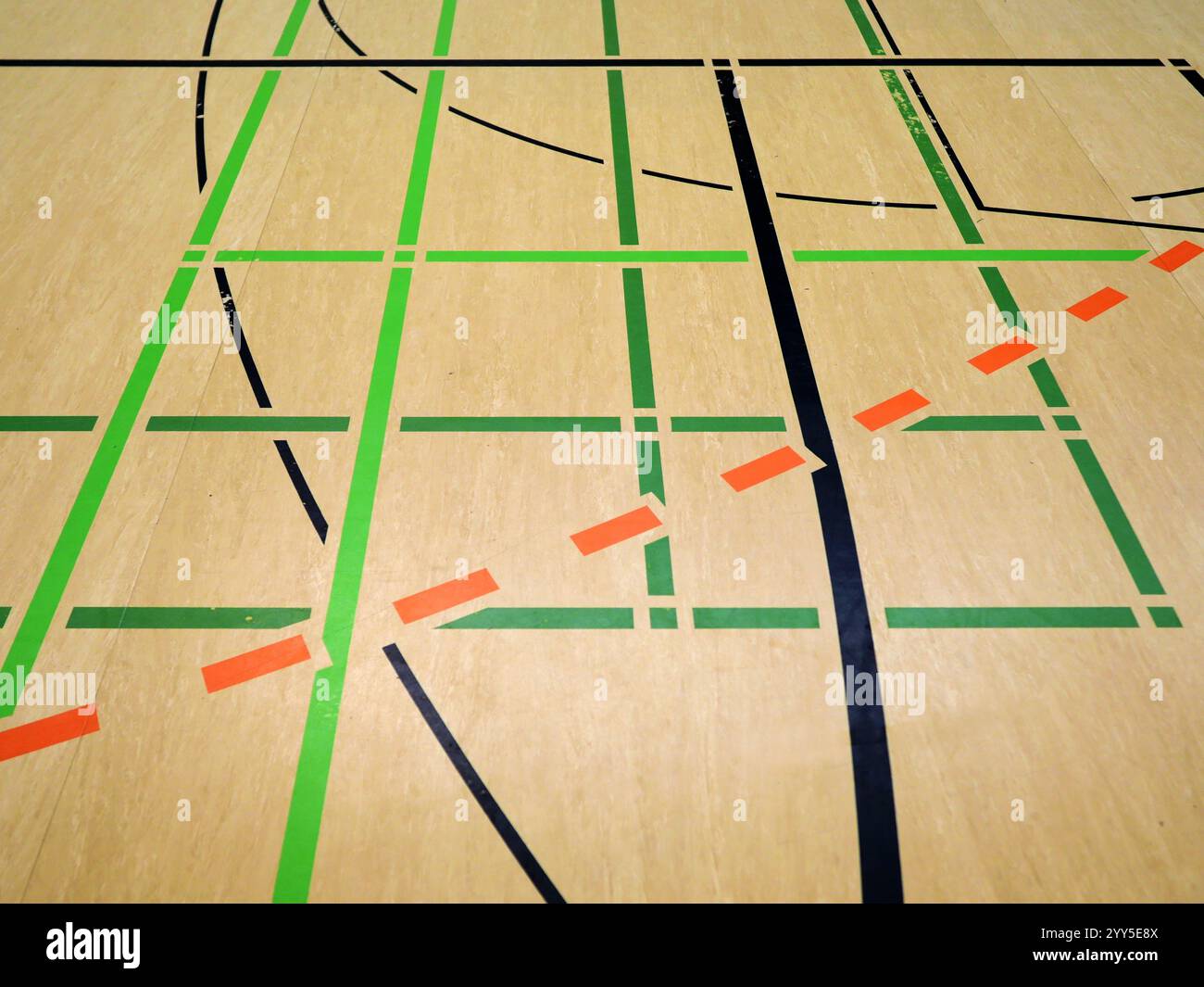 Sports hall floor with markings for various sports, perfect for school ...