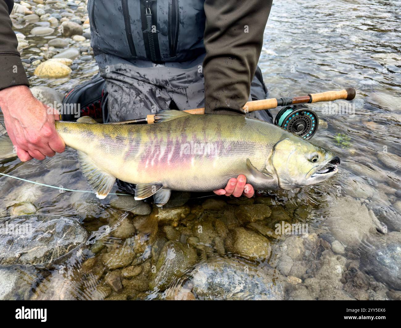 Salmon rod fly smartphone stock photos and images - Alamy