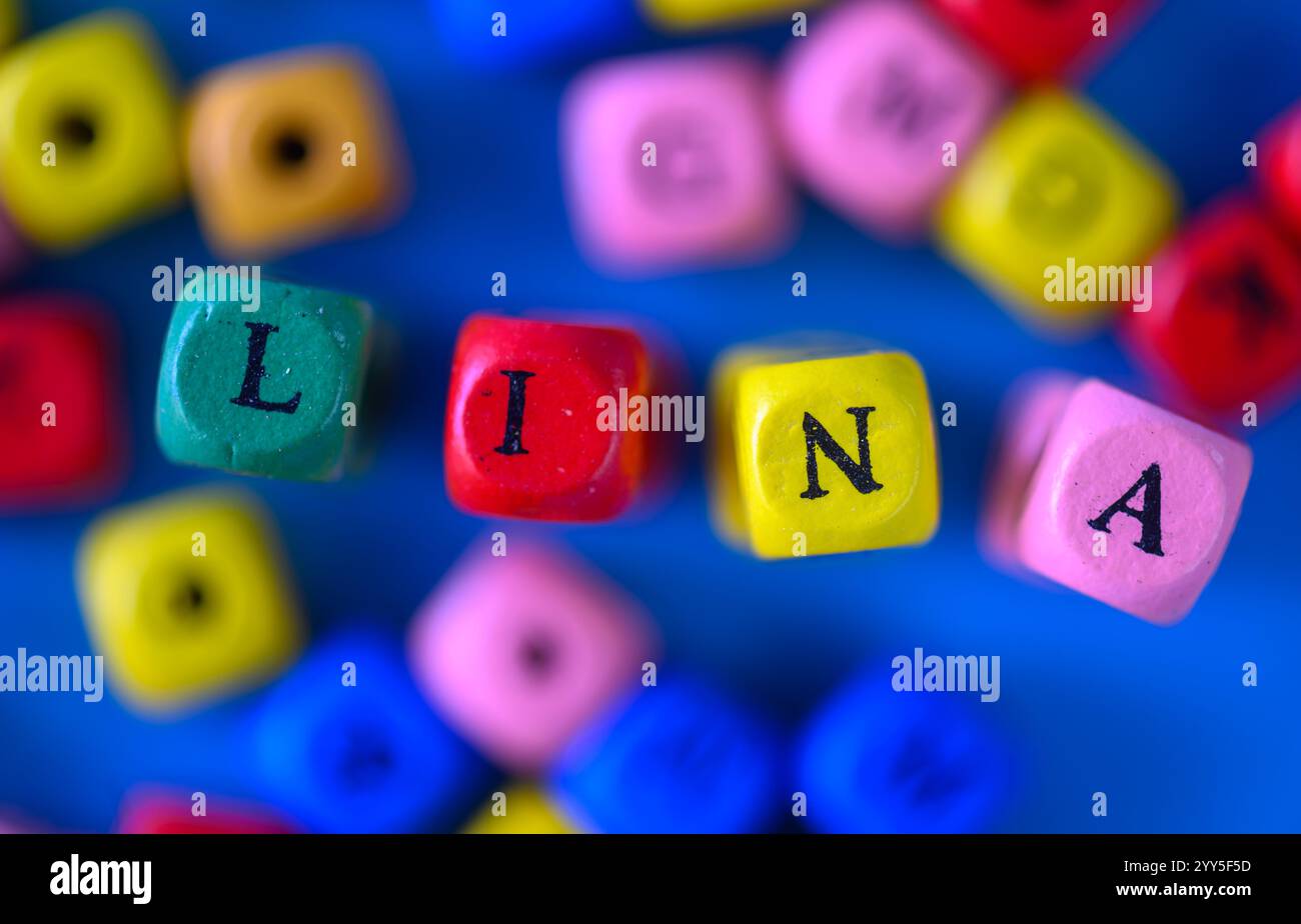 Leipzig, Germany. 27th Nov, 2024. Toy cubes make up the first name Lina ...