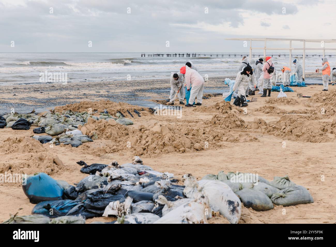 December 19, 2024. Anapa, Russia. Volunteers cleaning ocean beach from ...