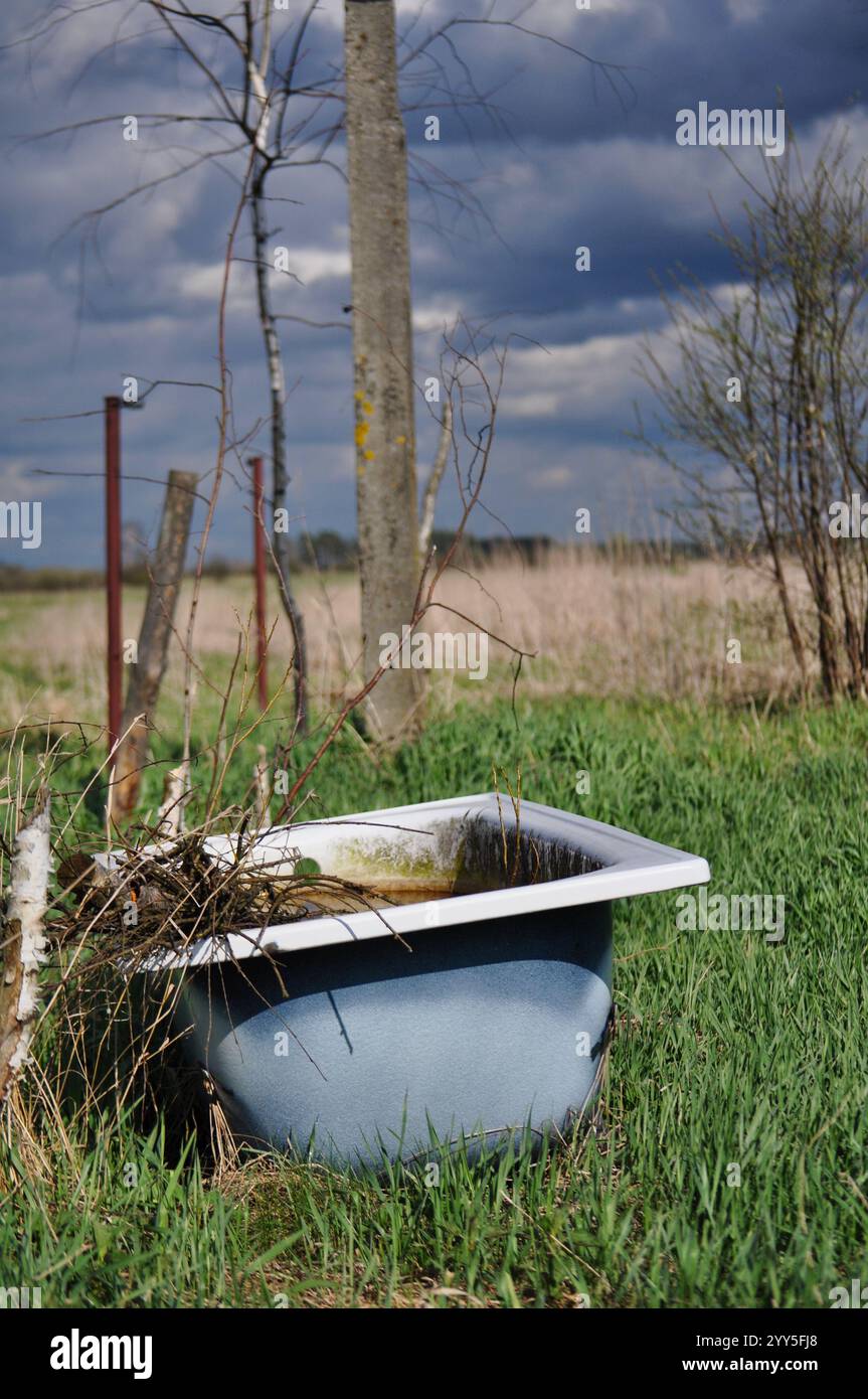 A bathtub left in a field surrounded by grass and branches. The sky is ...