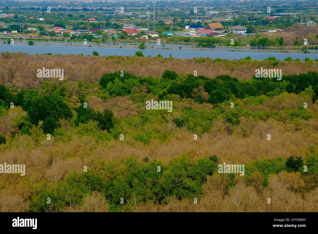 Urbanization mangrove hi-res stock photography and images - Alamy
