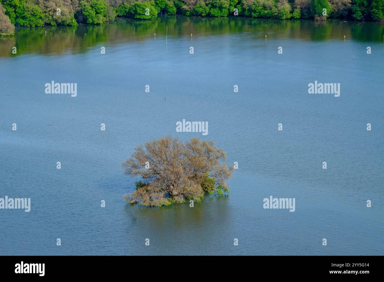 Mangrove ecosystem balance hi-res stock photography and images - Alamy