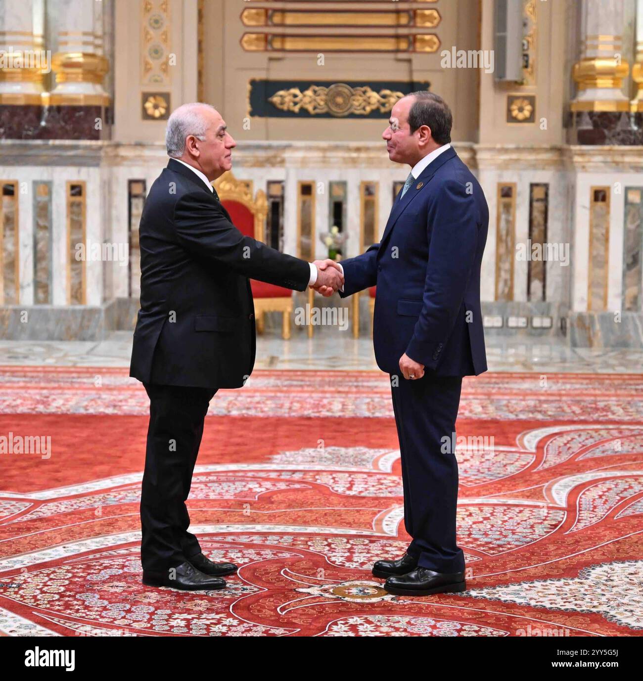 Egyptian President Abdel Fattah El-Sisi inaugurates the D8 Summit for ...