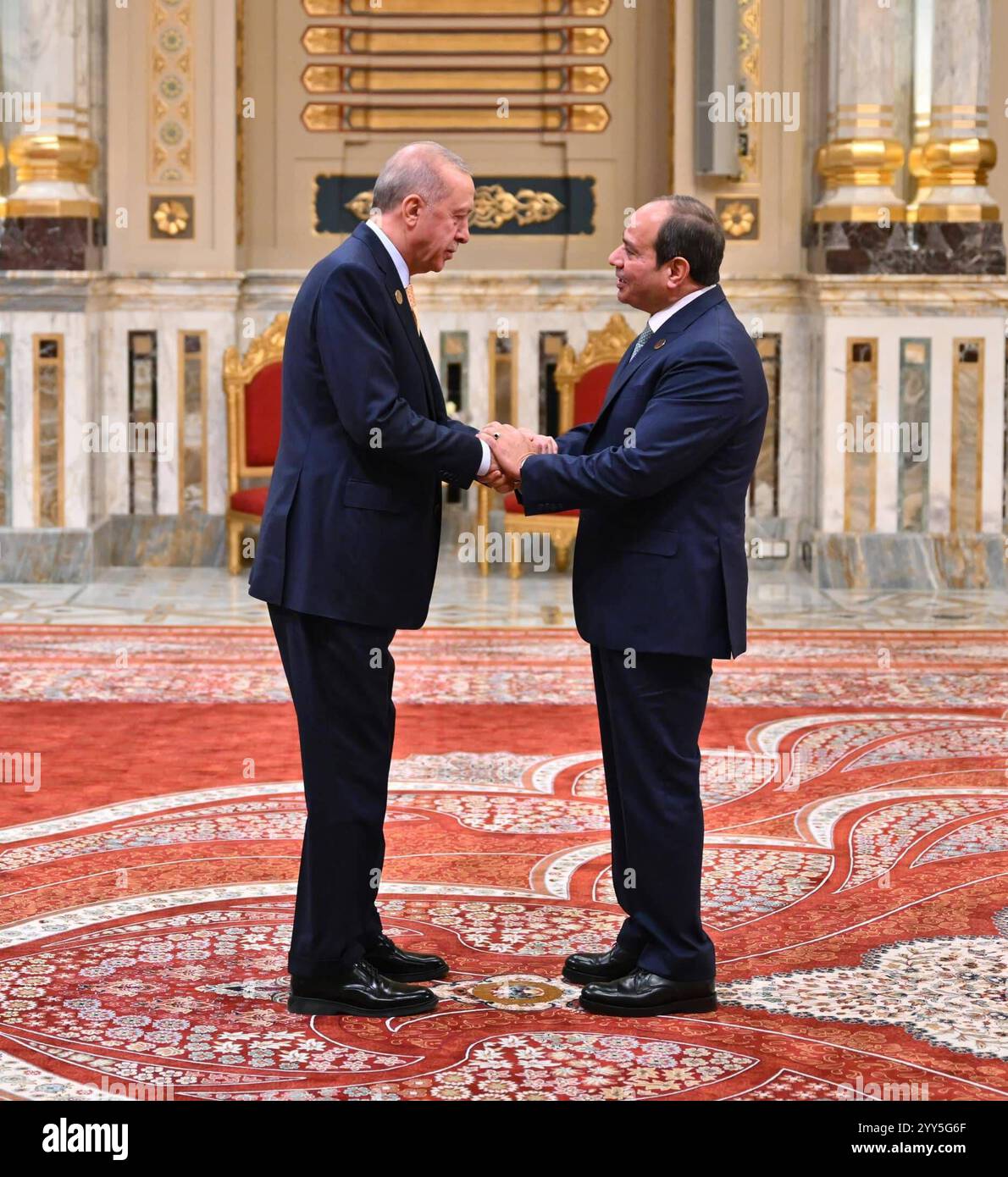 Egyptian President Abdel Fattah El-Sisi inaugurates the D8 Summit for ...