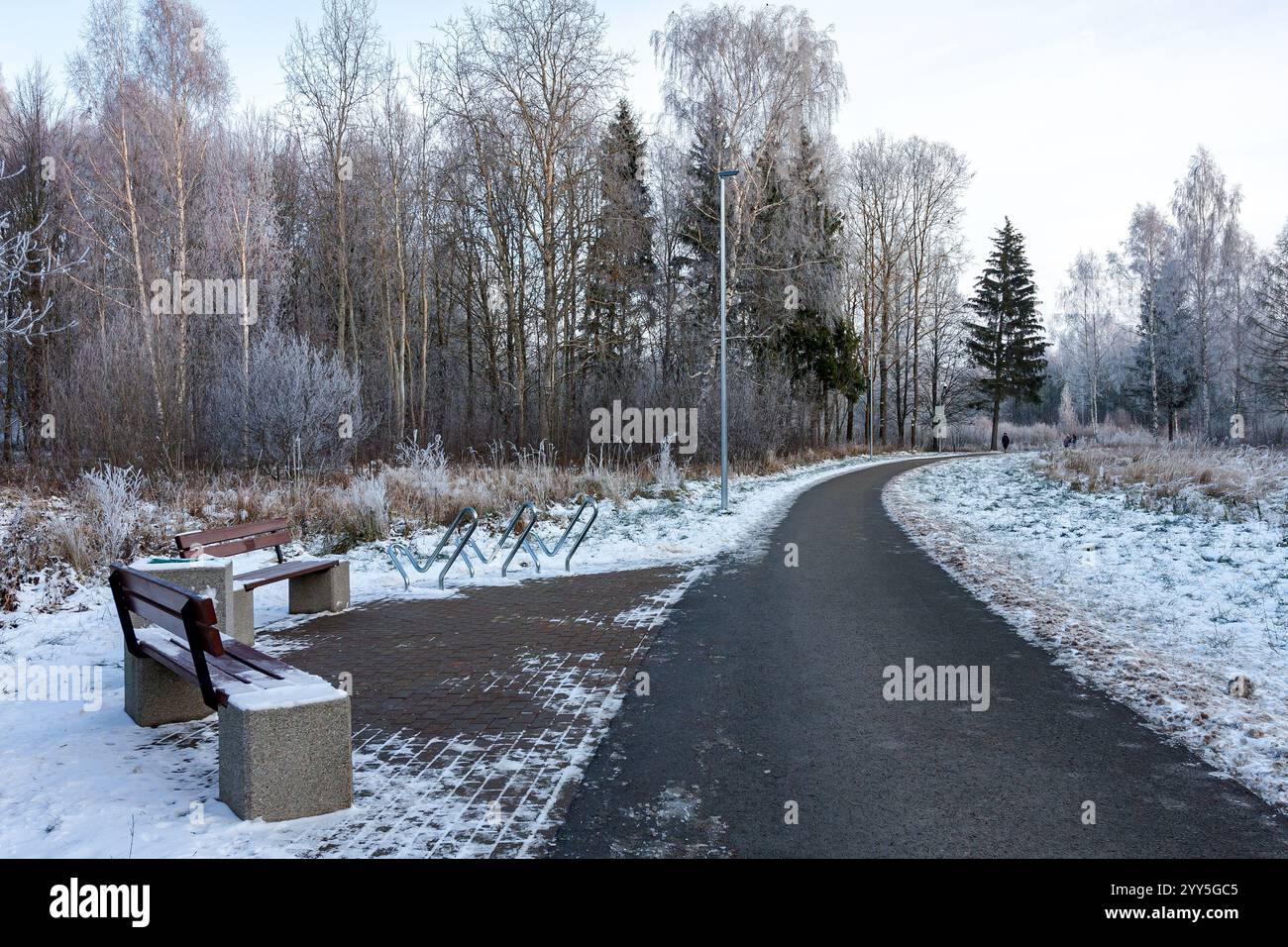 A serene snow-covered pathway winds through a frosty winter forest ...
