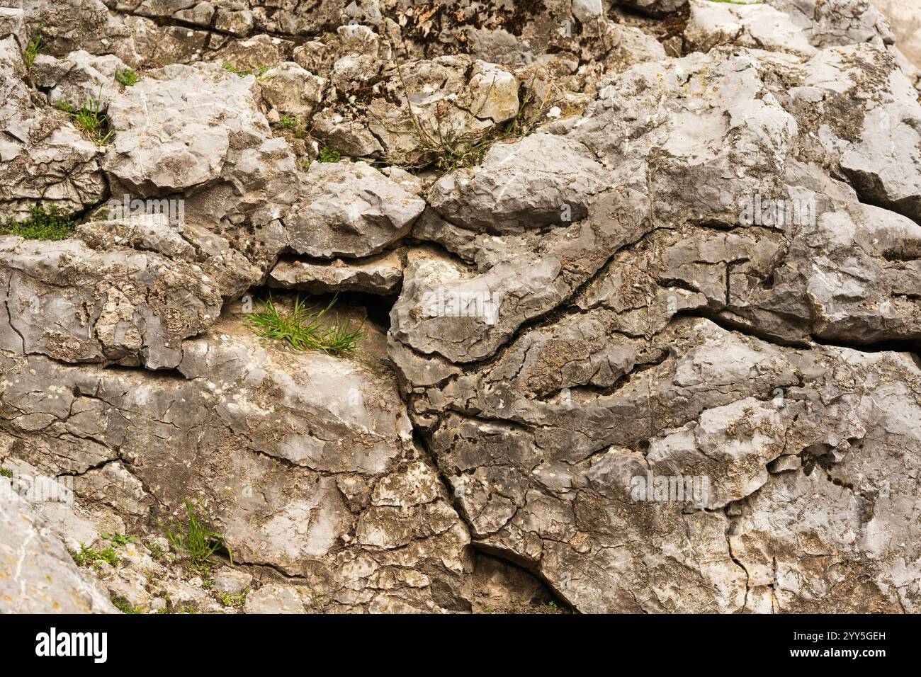 Texture of stone huge,light gray stone texture Stock Photo - Alamy