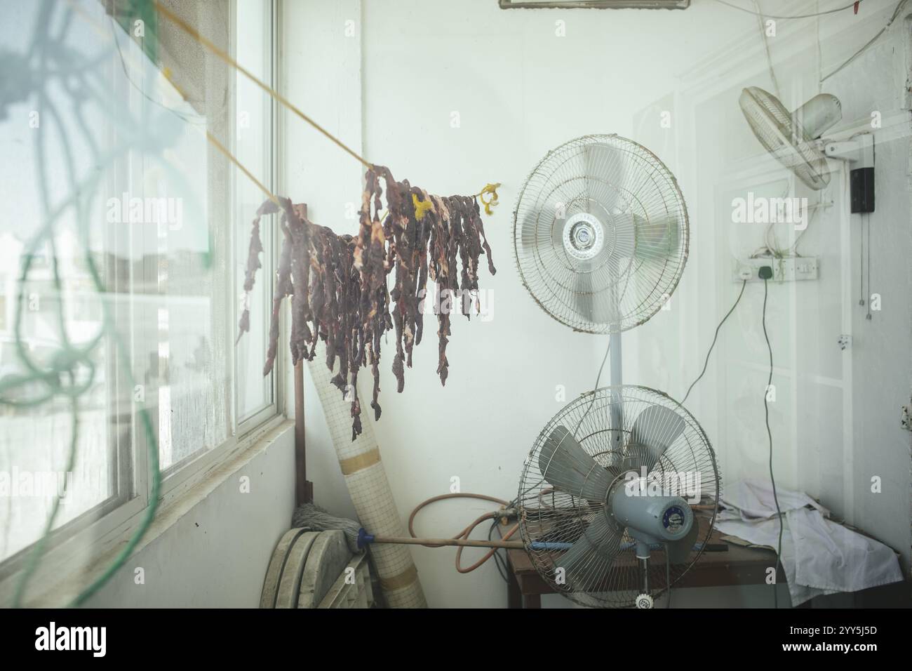 Dried camel meat in the camel restaurant with its own camel butchery on ...