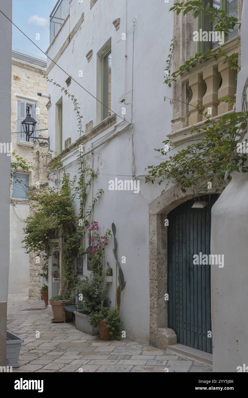 Narrow alley with Mediterranean buildings and lush plants, Polignano a ...